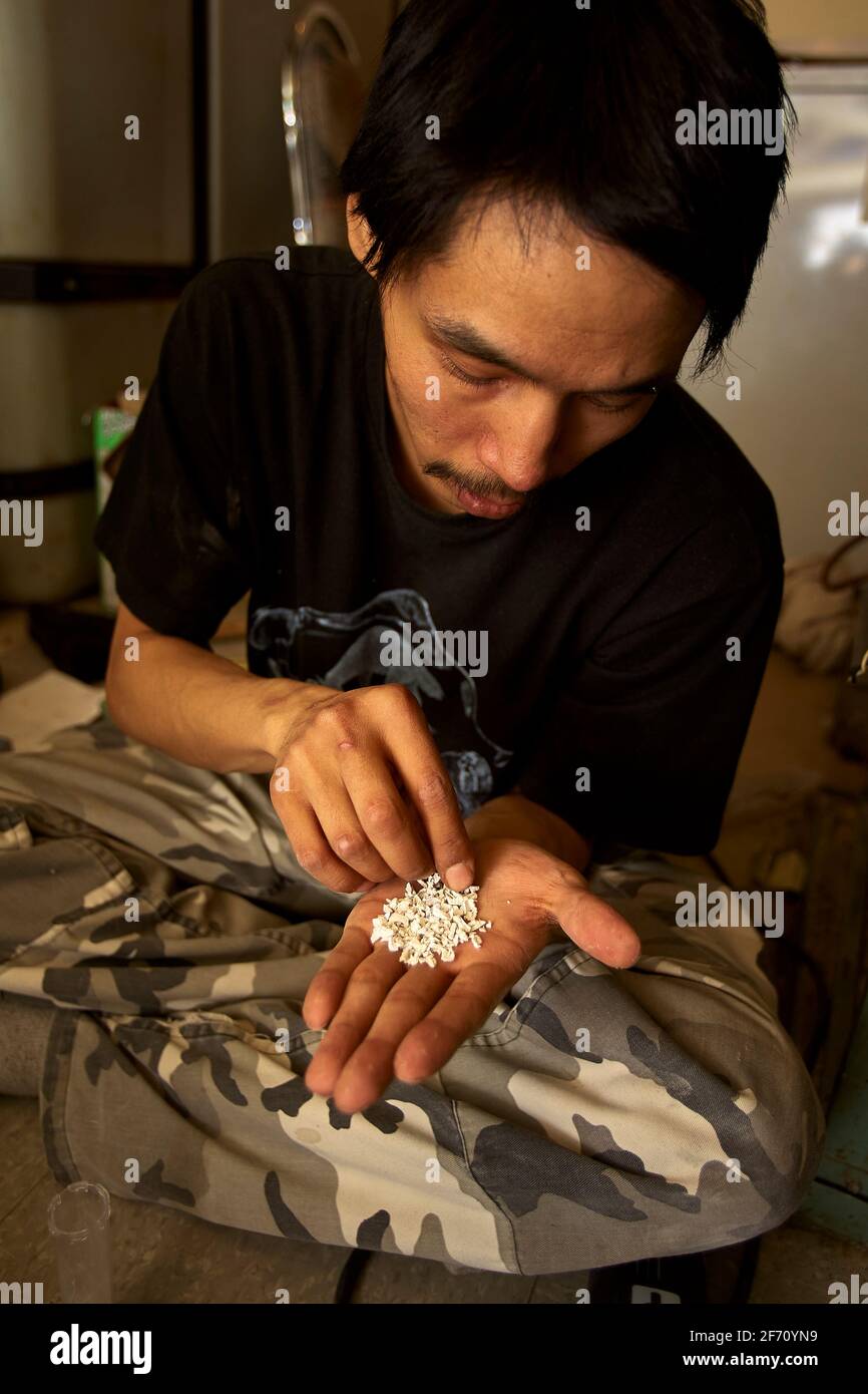 The inuit artist will use cartilage from bone to buff the whales and ...