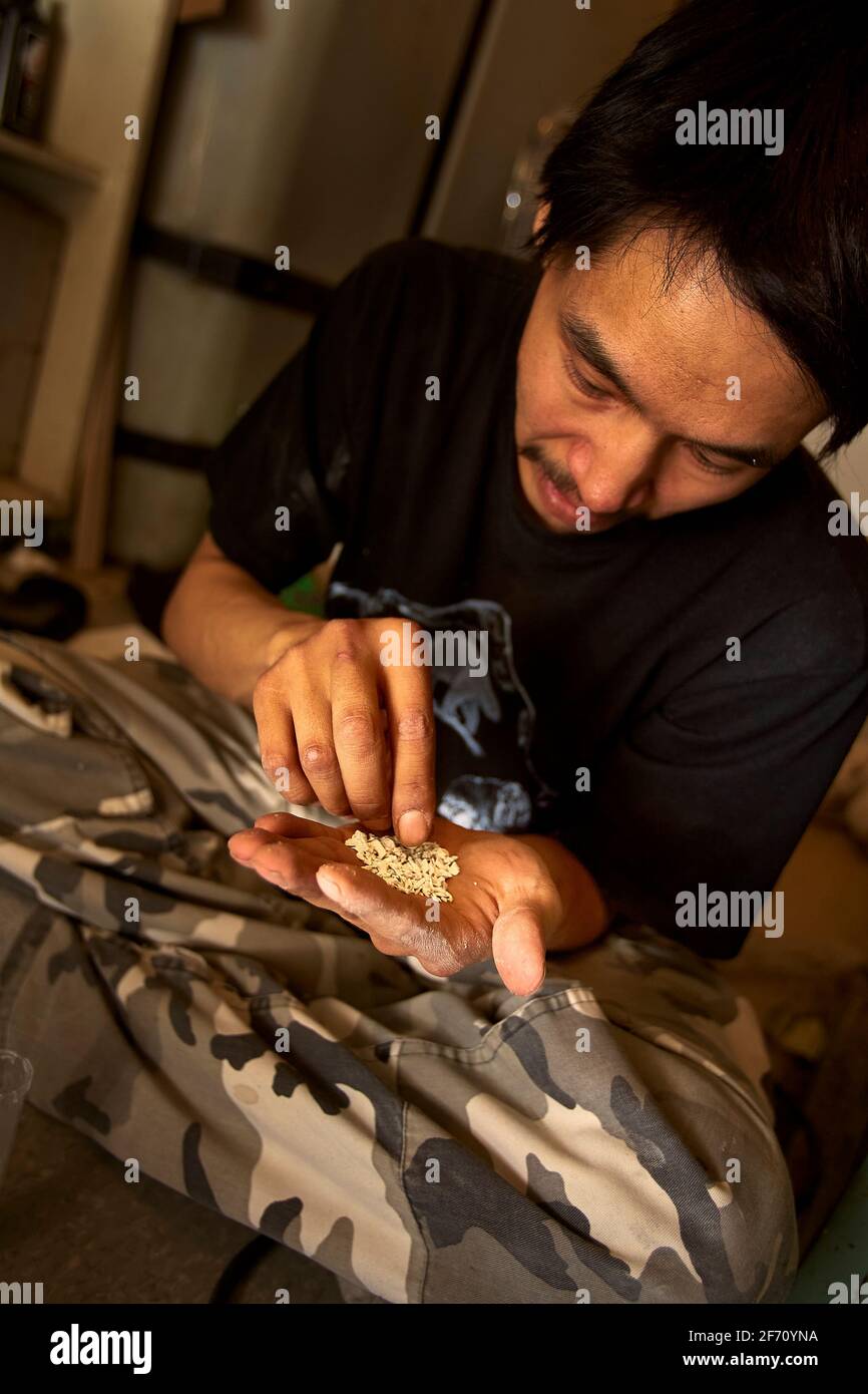 The inuit artist will use cartilage from bone to buff the whales and ...