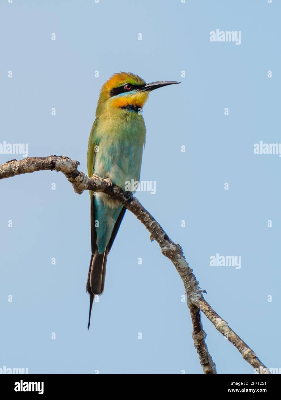 Nudgee beach hi-res stock photography and images - Alamy