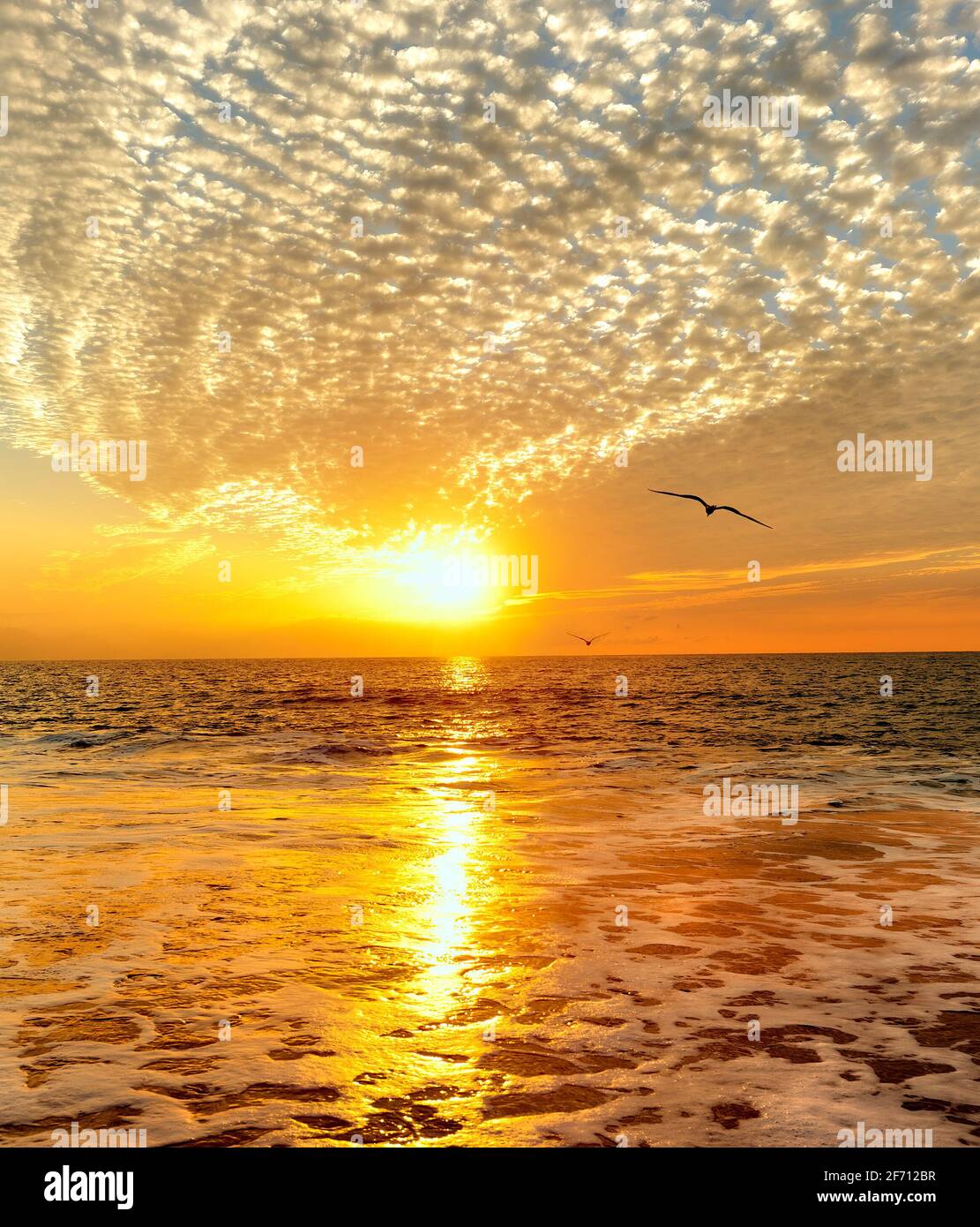 Two Birds Are Flying Towards The Ocean Sunset In Vertical Image Format ...