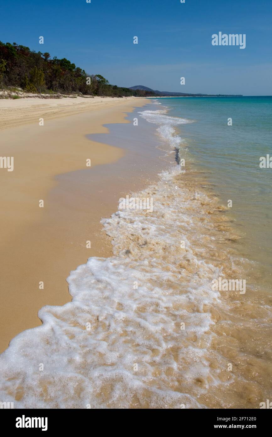 Moreton bay island australia hi-res stock photography and images - Alamy