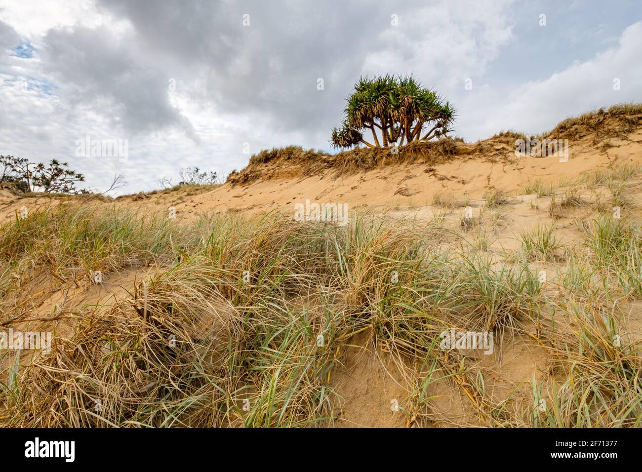 On the beach at Agnes Water Stock Photo - Alamy