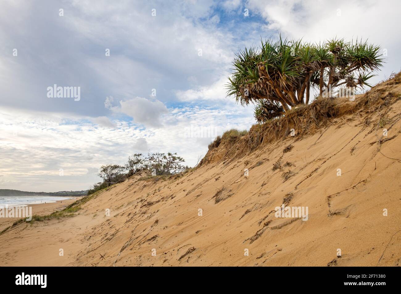 On the beach at Agnes Water Stock Photo - Alamy