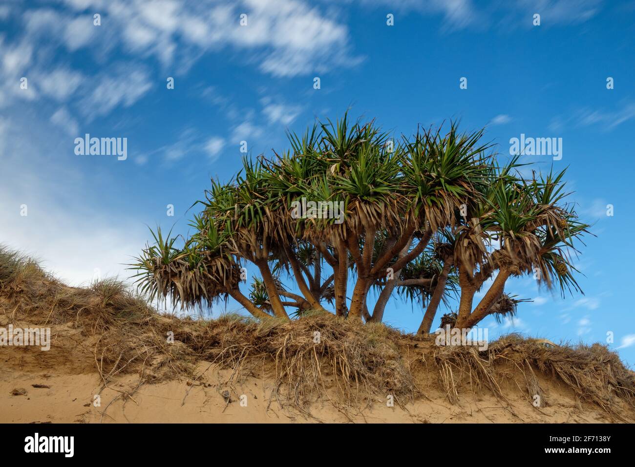 On the beach at Agnes Water Stock Photo - Alamy