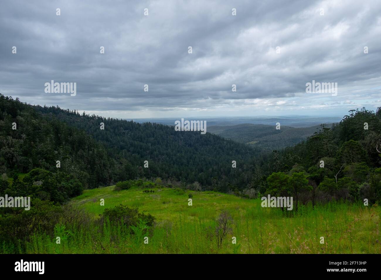 Bunya mountains national park hi-res stock photography and images - Alamy