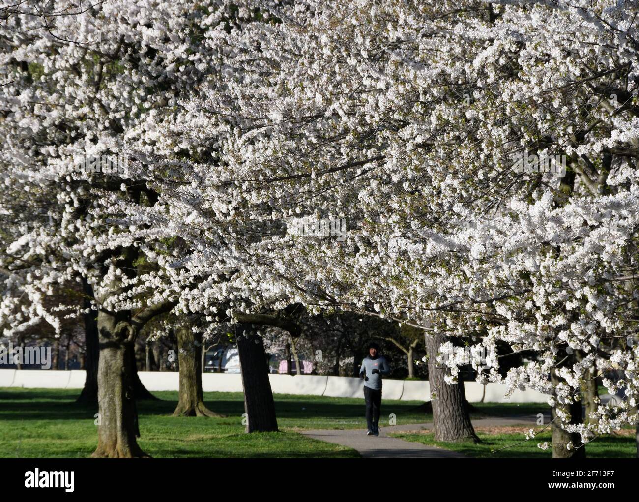 Washington DC, USA. 2nd Apr, 2021. Some WashingtonÃ¢â‚¬â„¢s 3,000 ...