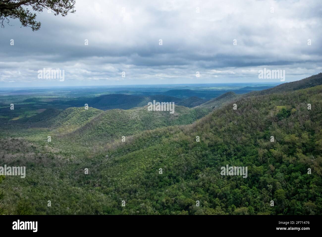 Bunya mountains hi-res stock photography and images - Alamy