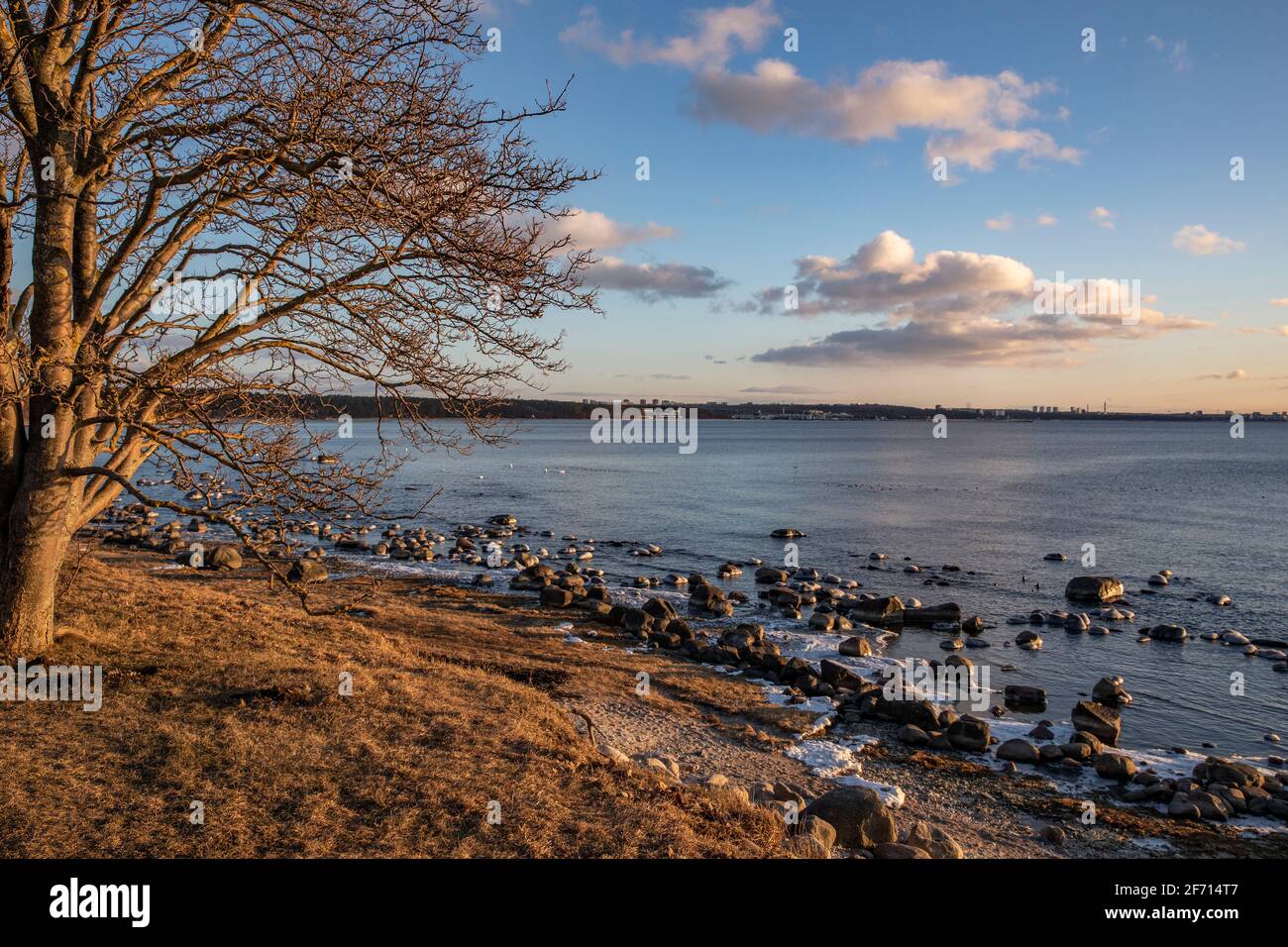 Frozen coast of Baltic Sea in Tallinn, Estonia Stock Photo - Alamy