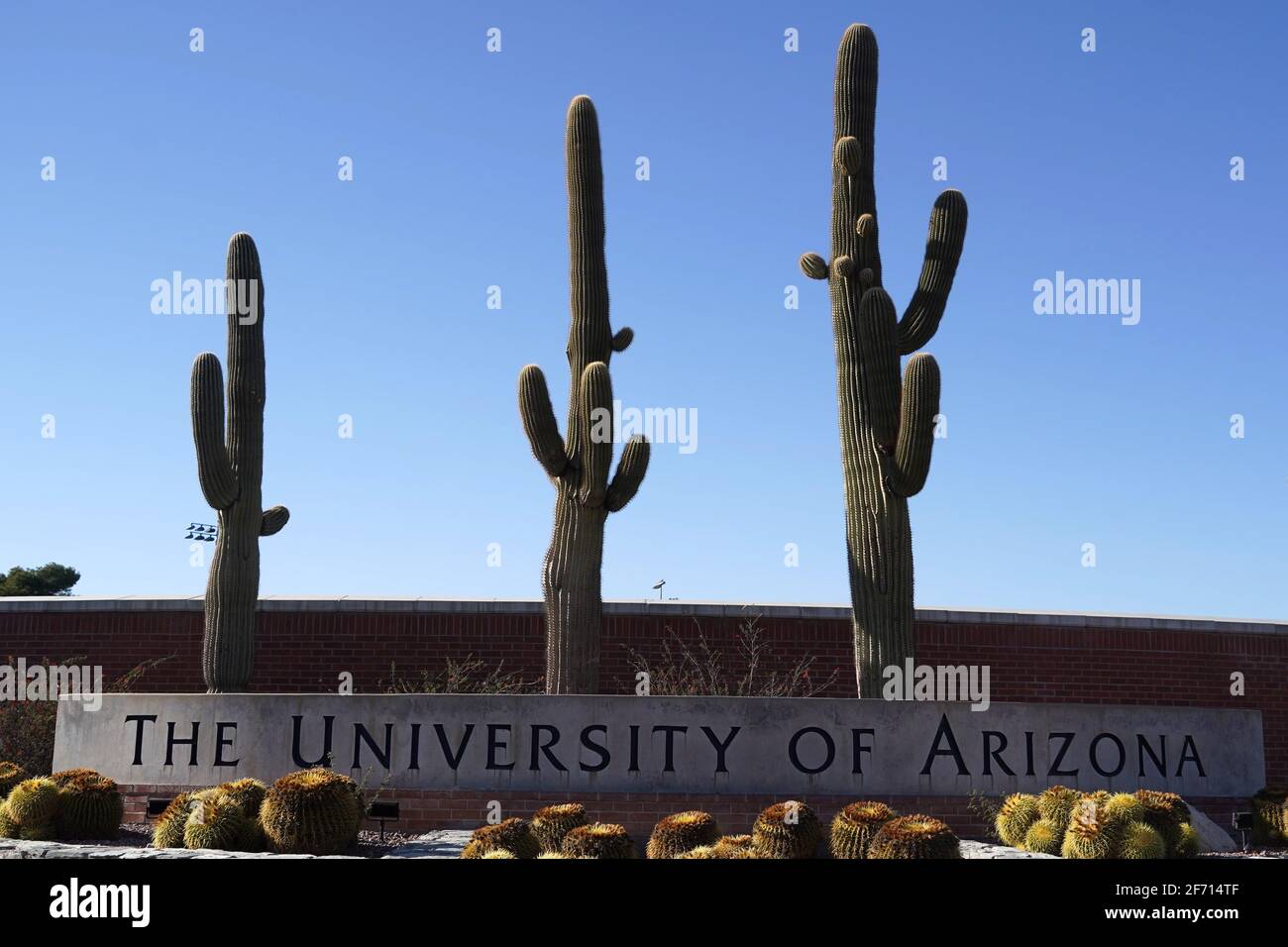 University of arizona campus hi-res stock photography and images - Alamy