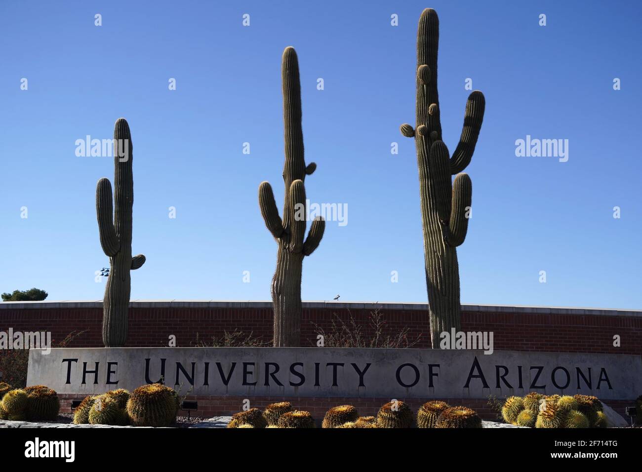 University of arizona tucson campus hi-res stock photography and images ...