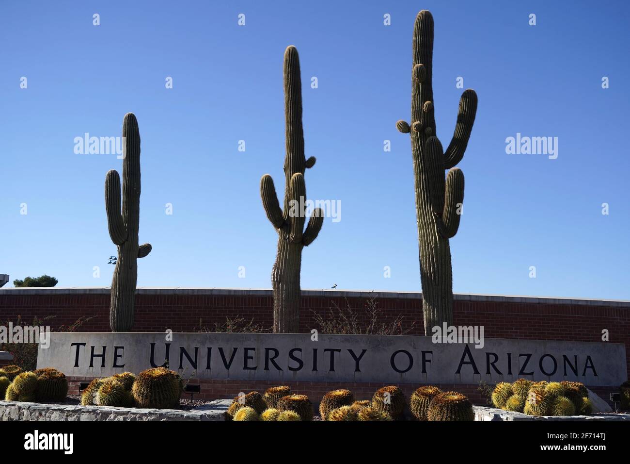 University of arizona tucson campus hi-res stock photography and images ...
