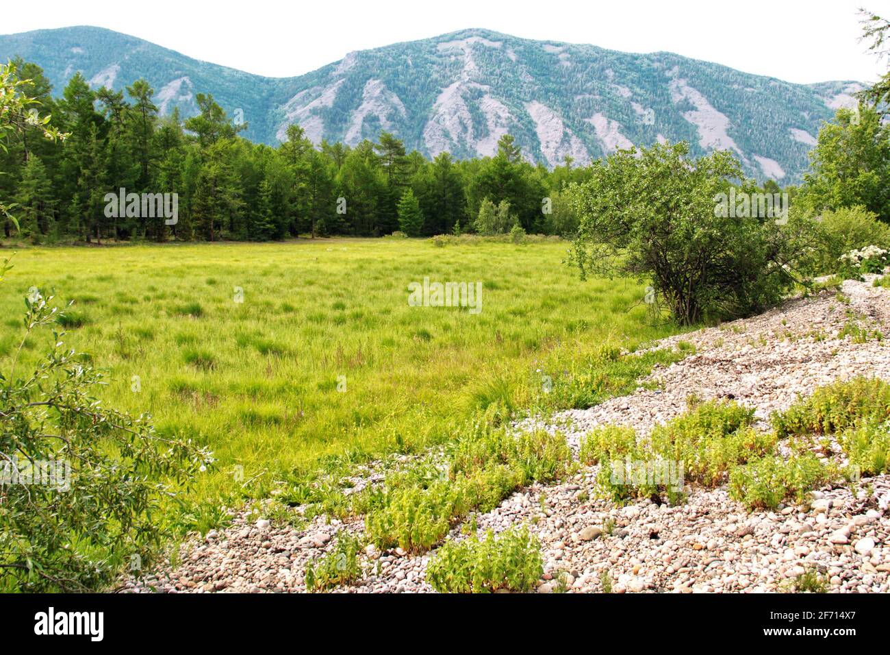Summer mountain landscape. View of the hills and meadows on Lake Baikal ...