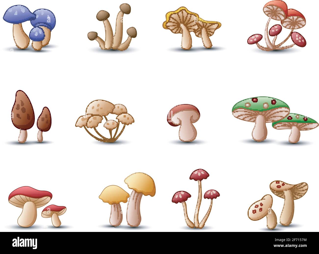 Different types of mushrooms on a white background Stock Vector Image ...