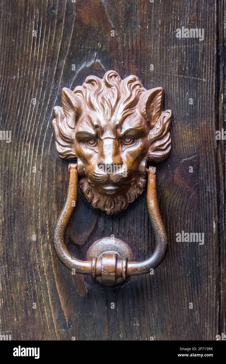 Lion, artistic metal knocker created by craftsman for the ancient door ...