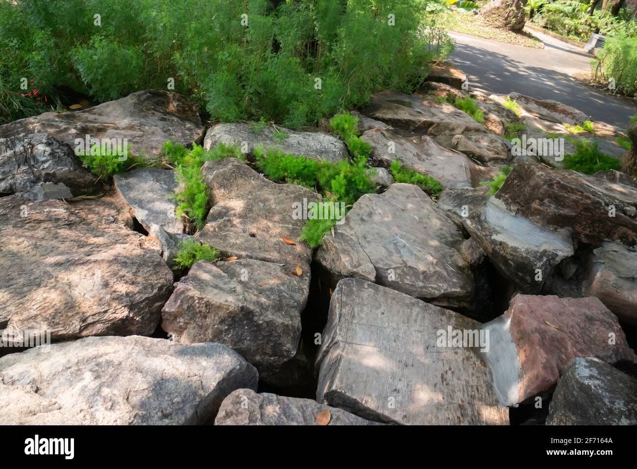 Streamside garden hi-res stock photography and images - Alamy