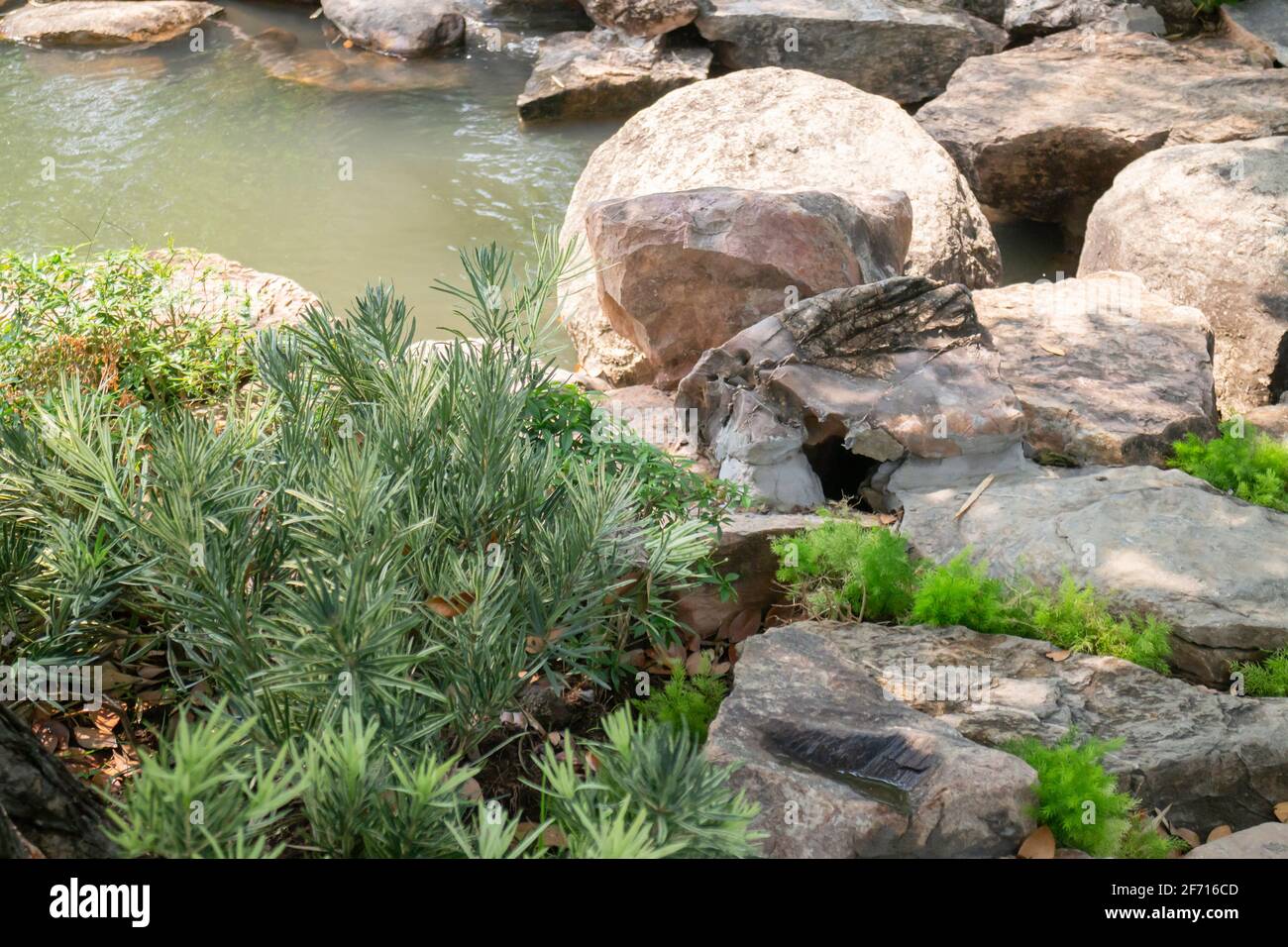 Streamside garden hi-res stock photography and images - Alamy