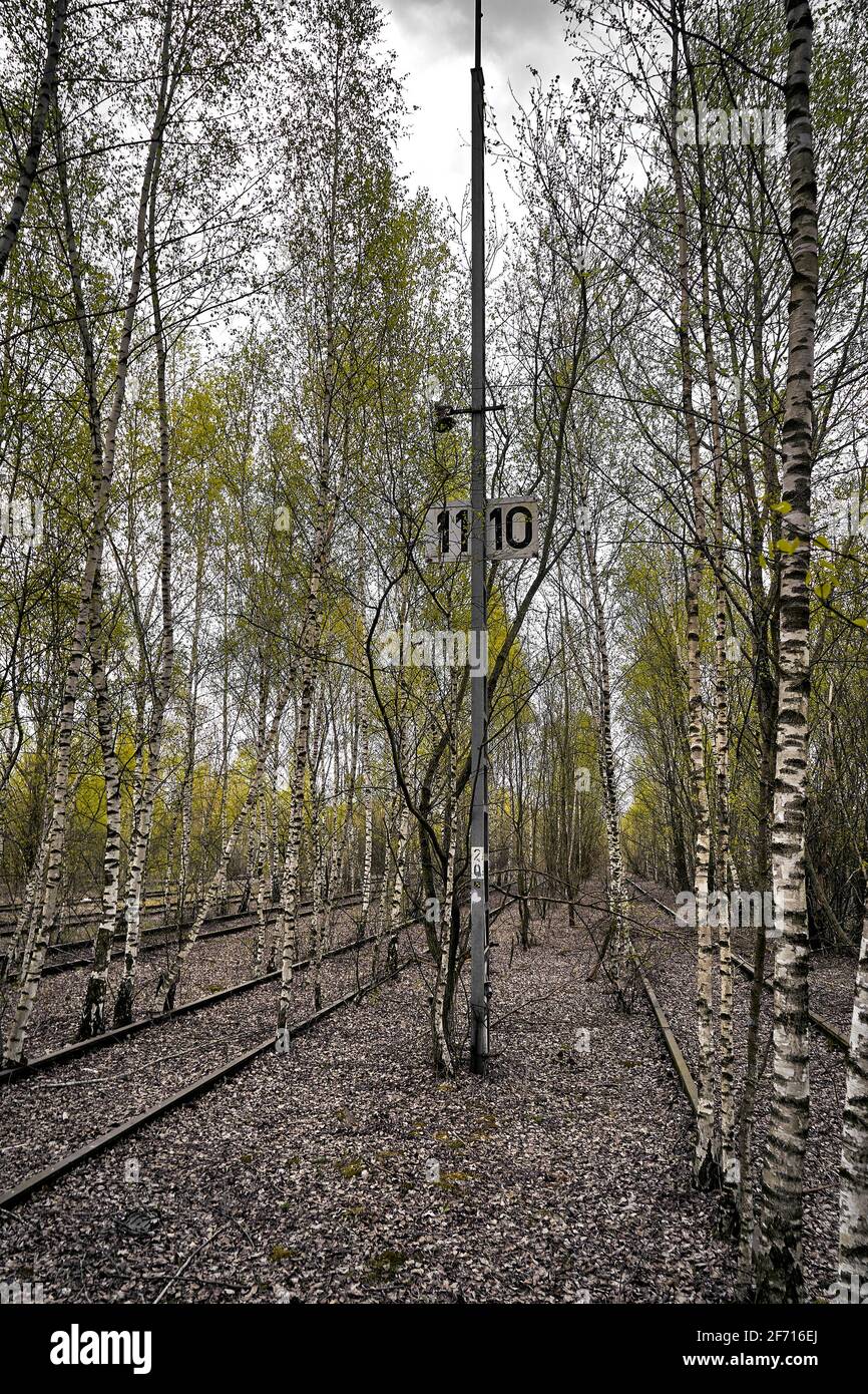 Abandoned railway tracks in forest hi-res stock photography and images ...