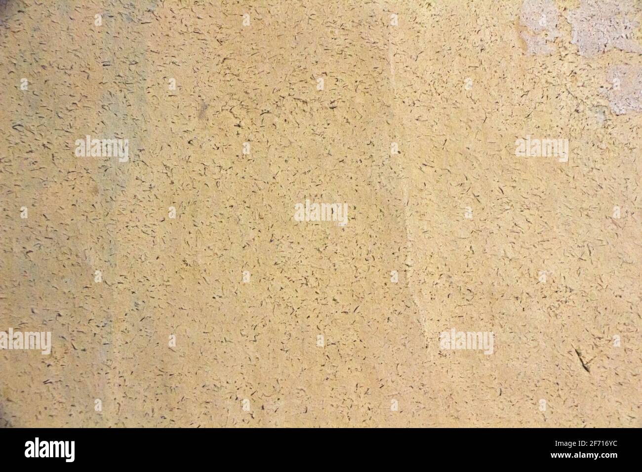Beige surface hi-res stock photography and images - Alamy