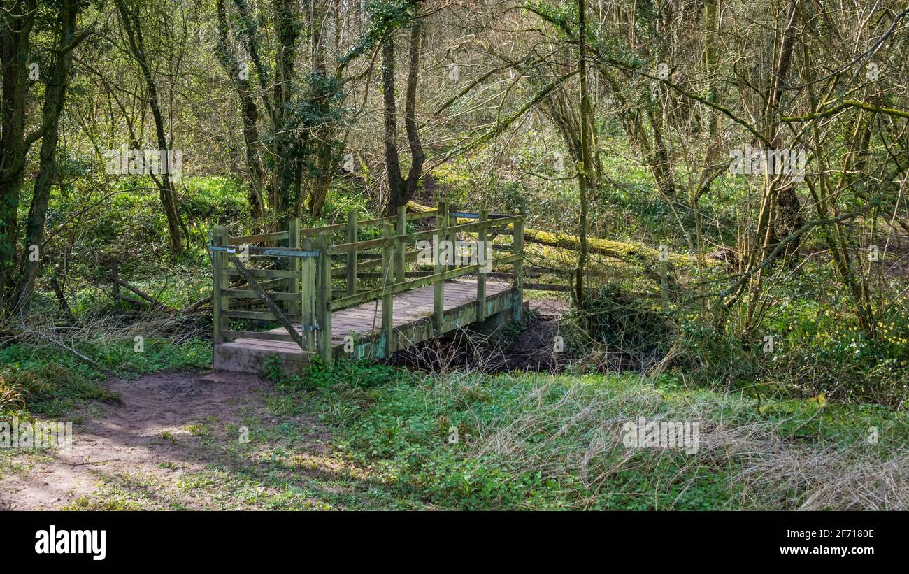 Woodland Bridge over Stream Stock Photo - Alamy