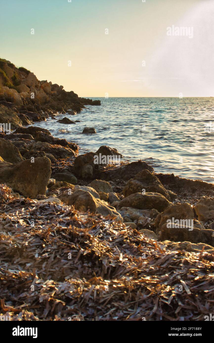 Beach lit with golden light near sunset at Golden Bay in Malta on a ...