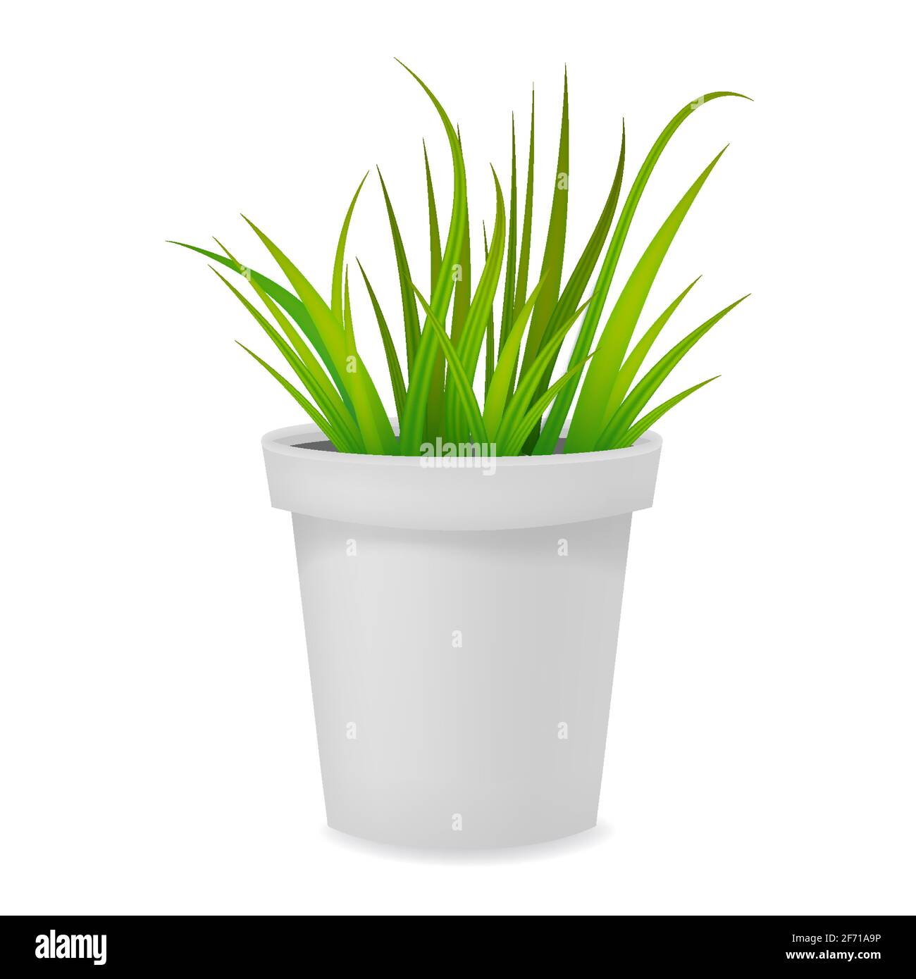 Flower pot realistic grass Stock Vector Images - Alamy