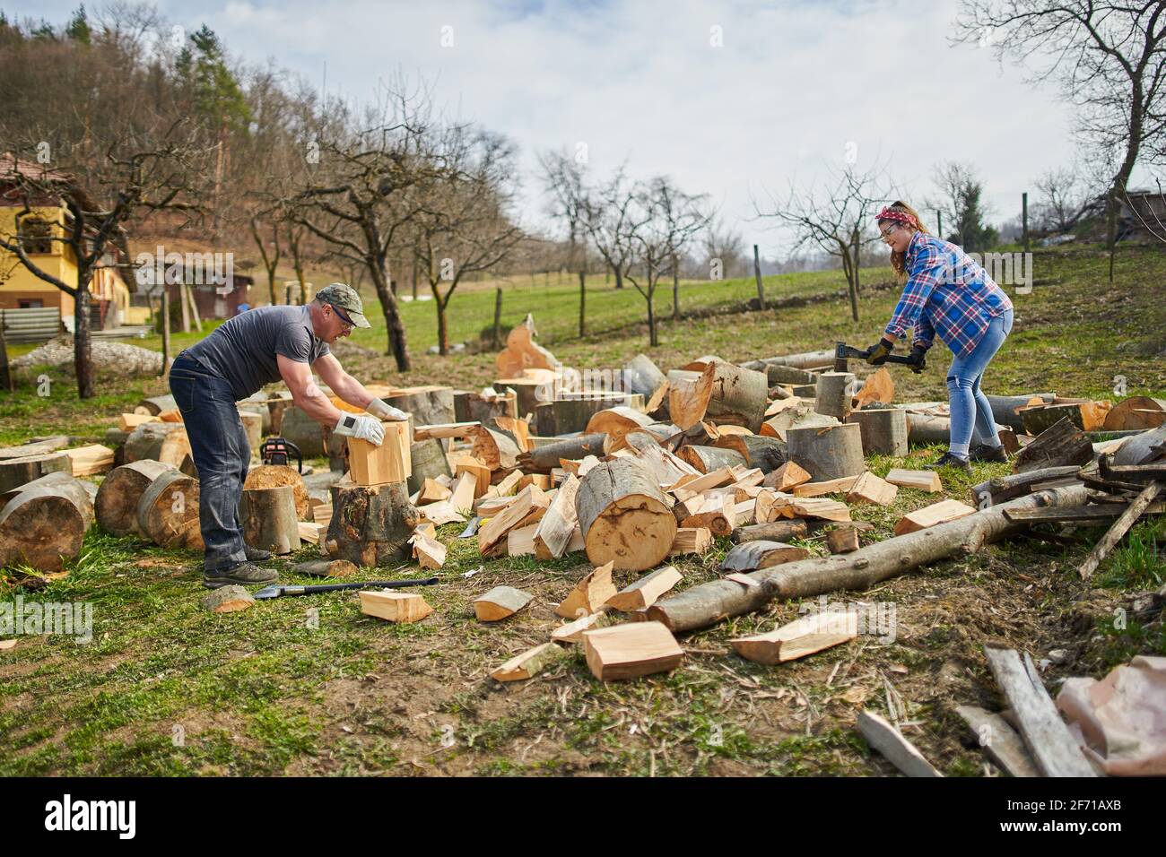 Couple splitting large beech wood in the backyard Stock Photo - Alamy