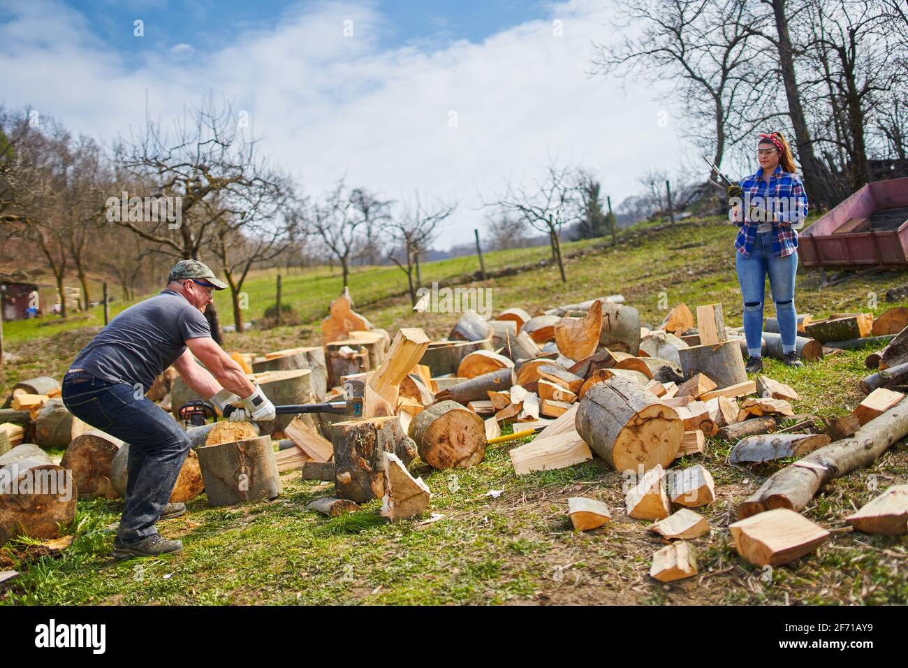 Couple splitting large beech wood in the backyard Stock Photo - Alamy