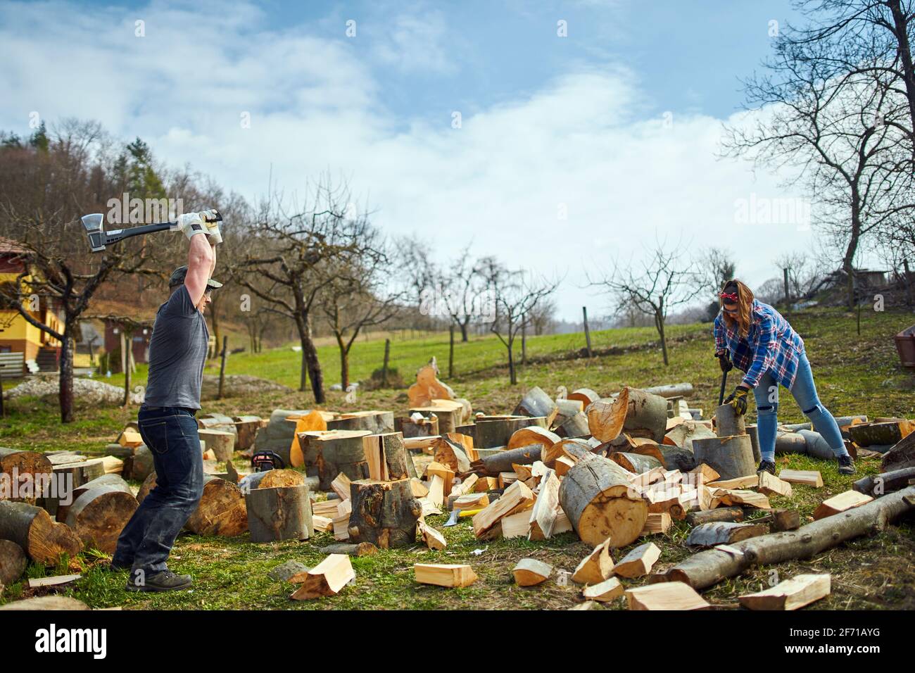 Couple splitting large beech wood in the backyard Stock Photo - Alamy
