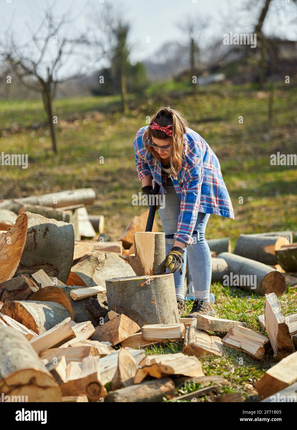 Strong woman lumberjack with her ax, splitting beech logs Stock Photo ...