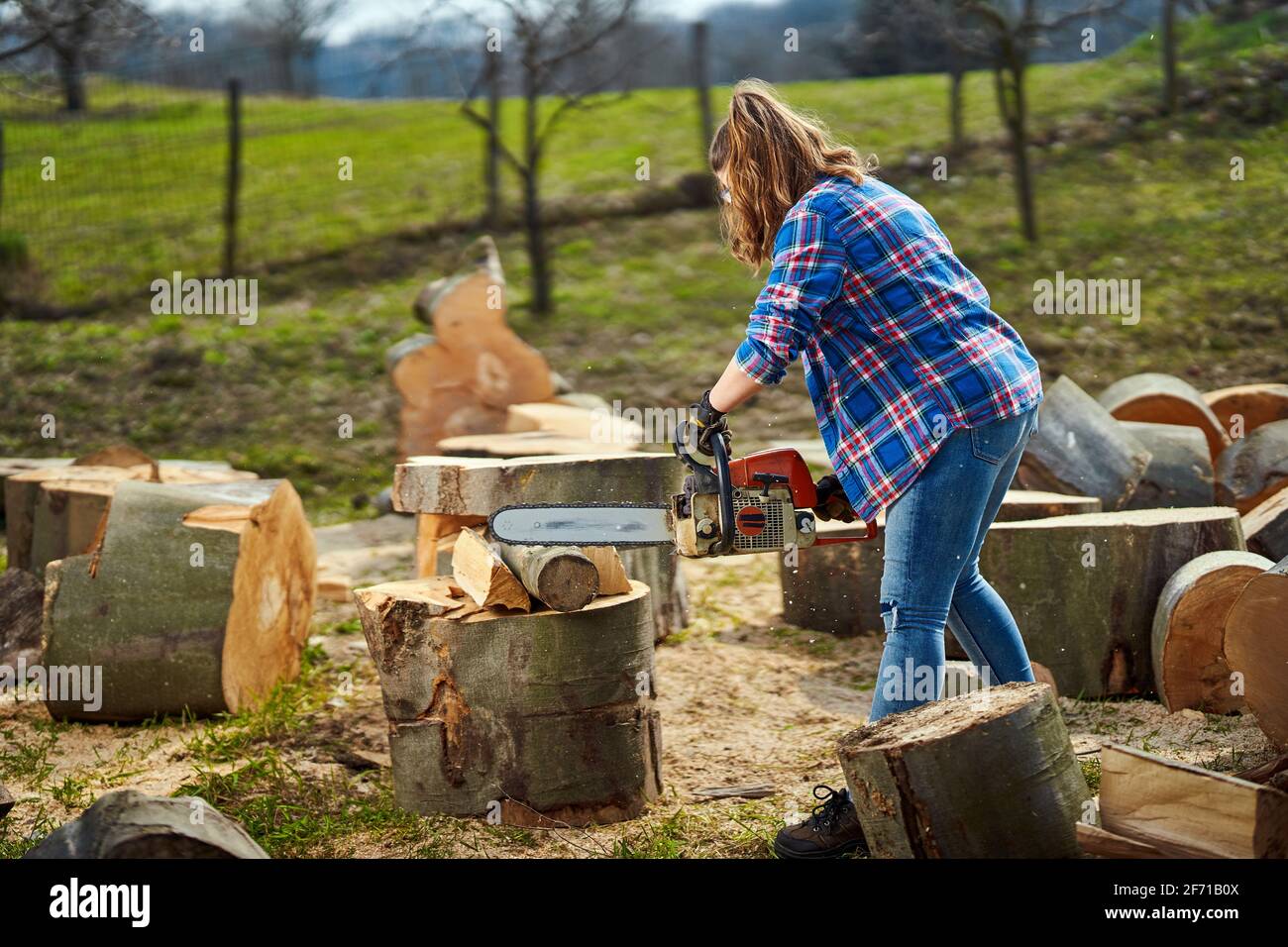 Strong woman lumberjack cutting big logs with her chainsaw Stock Photo ...