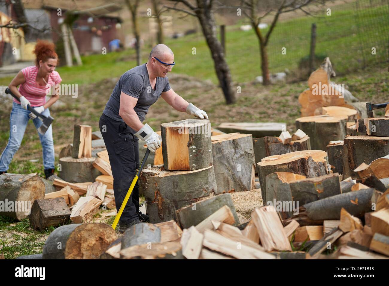 Couple splitting large beech wood in the backyard Stock Photo - Alamy
