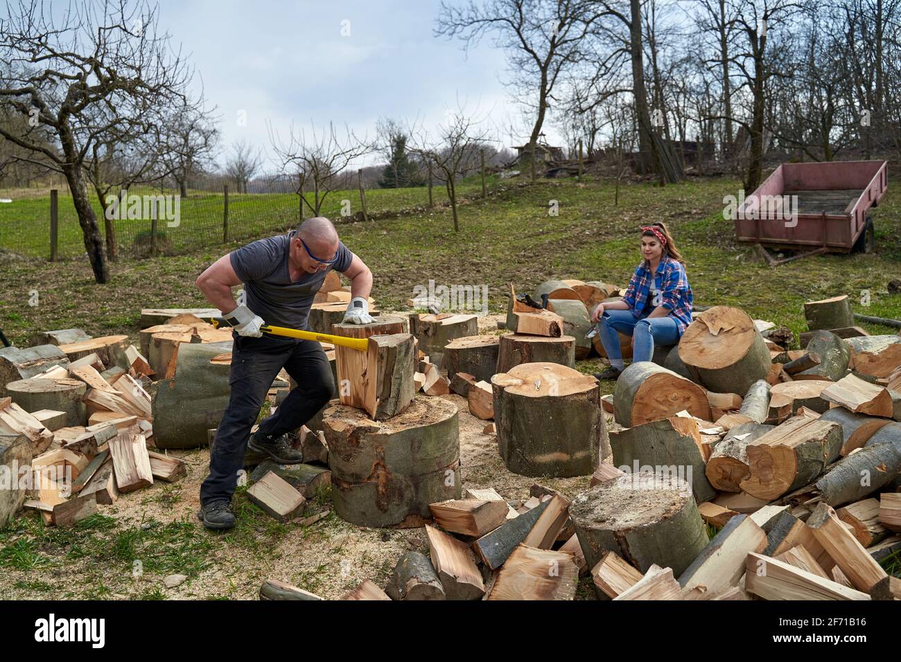 Couple splitting large beech wood in the backyard Stock Photo - Alamy