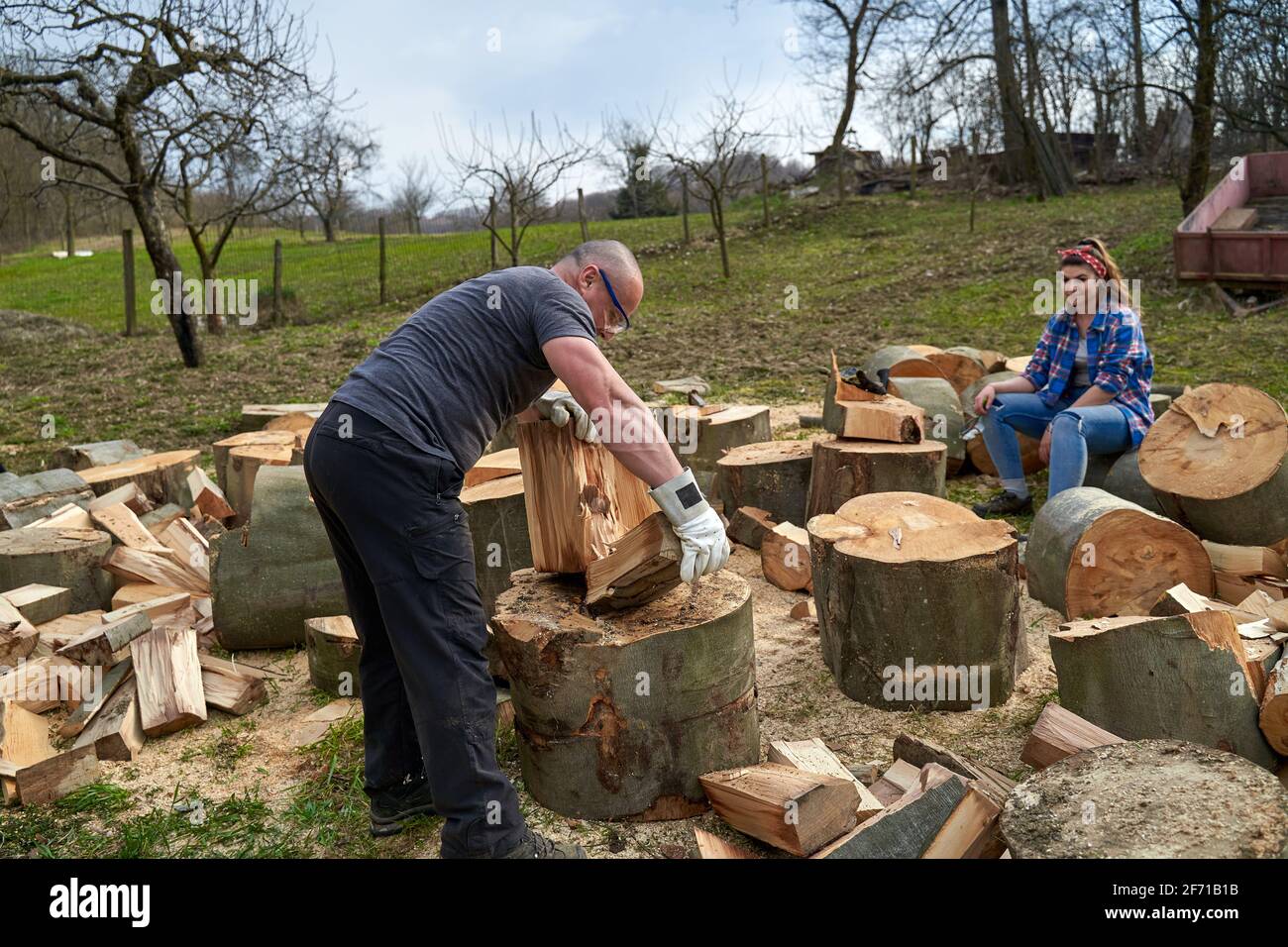 Couple splitting large beech wood in the backyard Stock Photo - Alamy