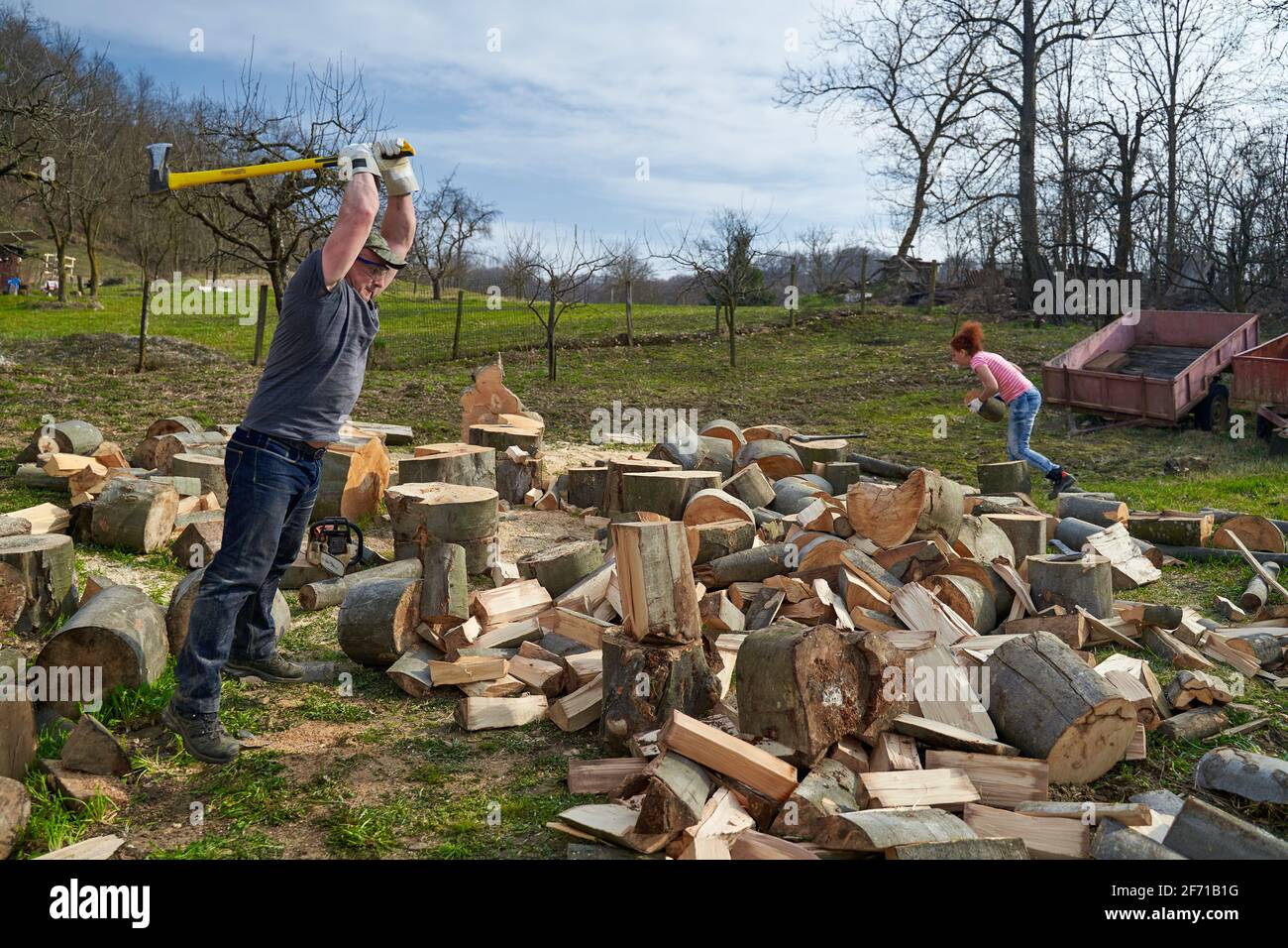 Couple splitting large beech wood in the backyard Stock Photo - Alamy