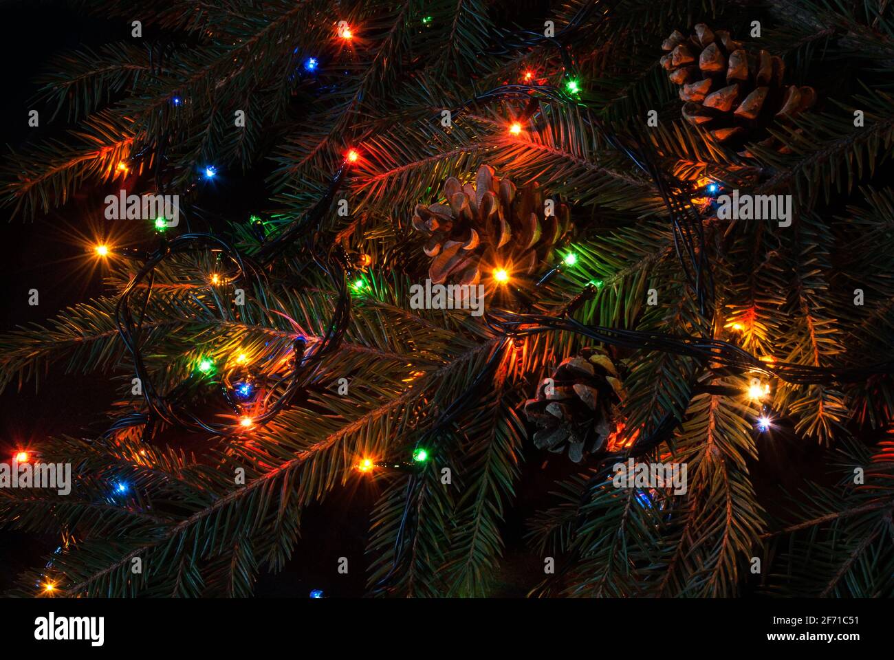 Christmas tree branch and lights Stock Photo - Alamy