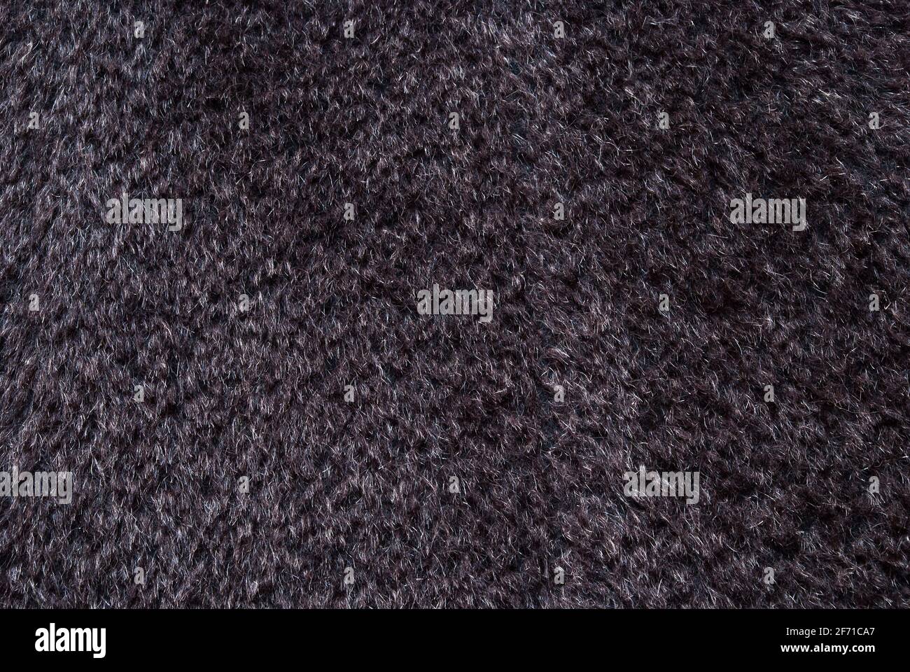 Animal fell hi-res stock photography and images - Alamy