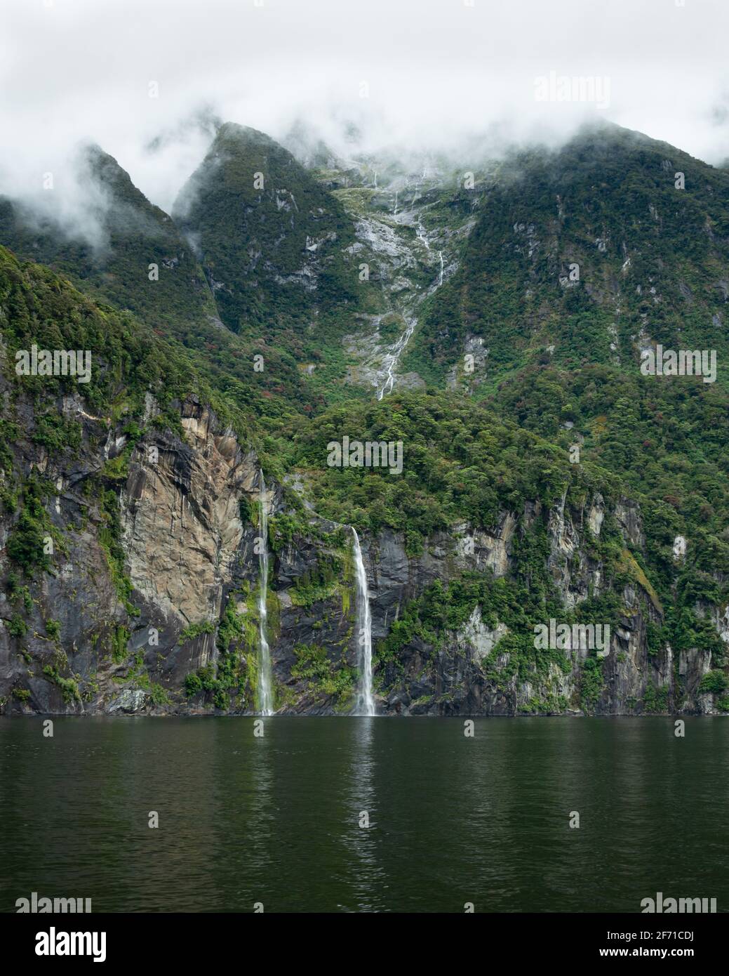 Waterfalls in Milford Sound with Southern Rata forest in bloom ...