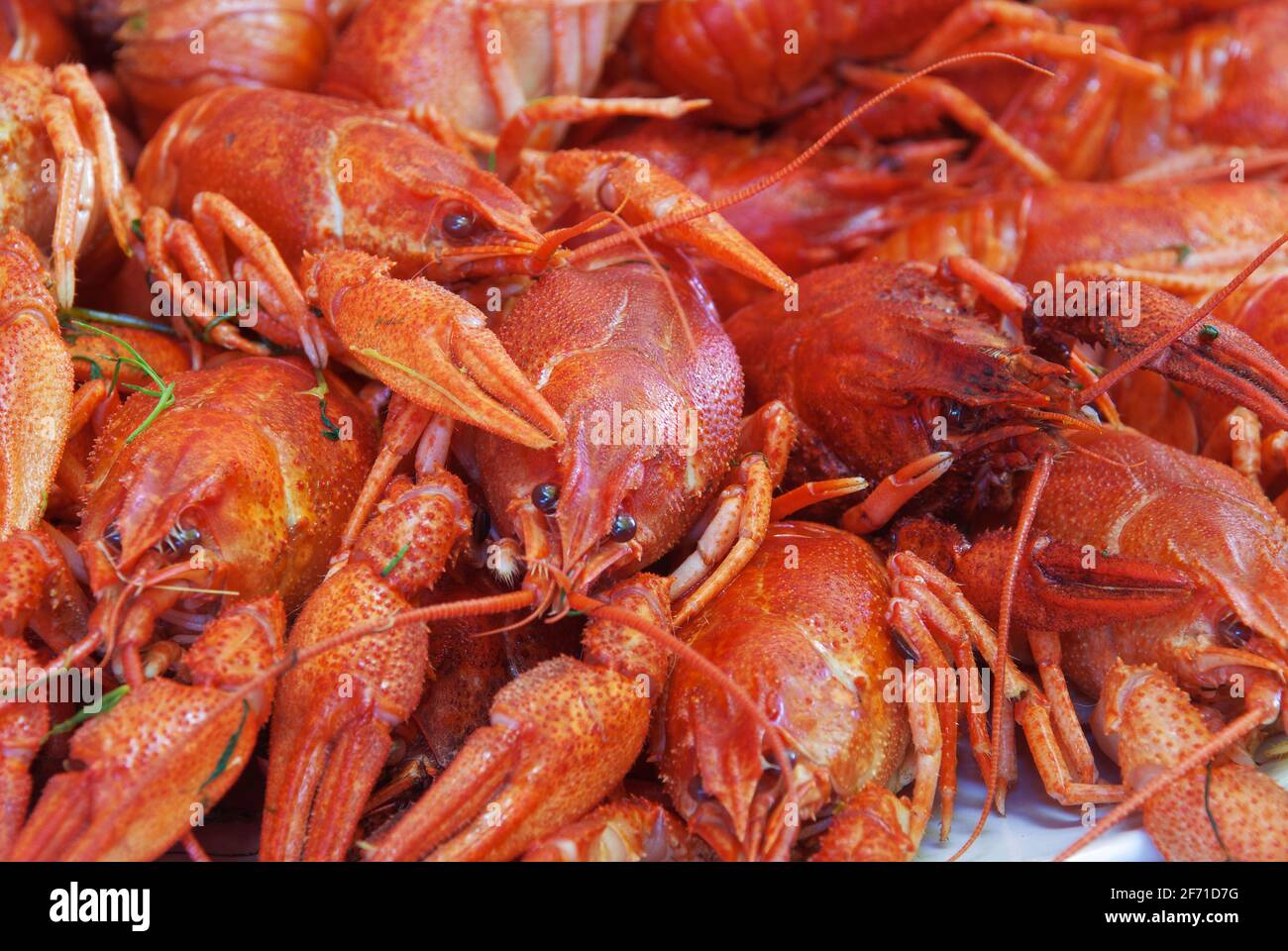 Still life with crayfish crawfish on old wooden background Stock Photo ...