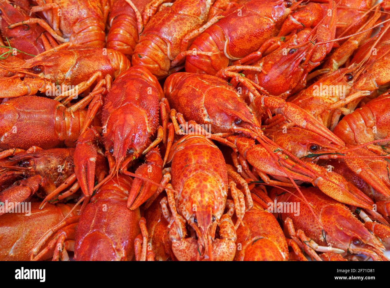 Still life with crayfish crawfish on old wooden background Stock Photo ...