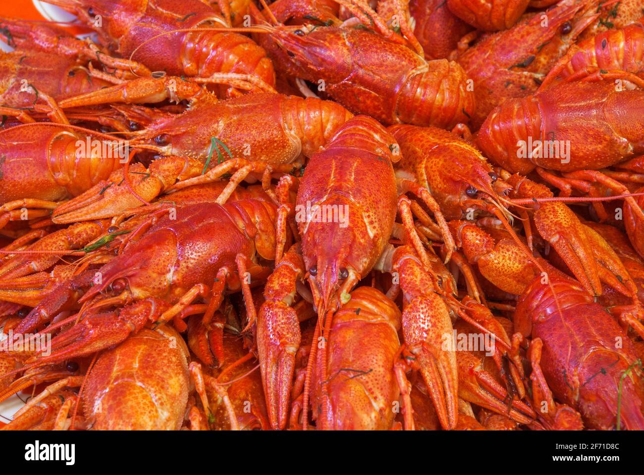 Still life with crayfish crawfish on old wooden background Stock Photo ...