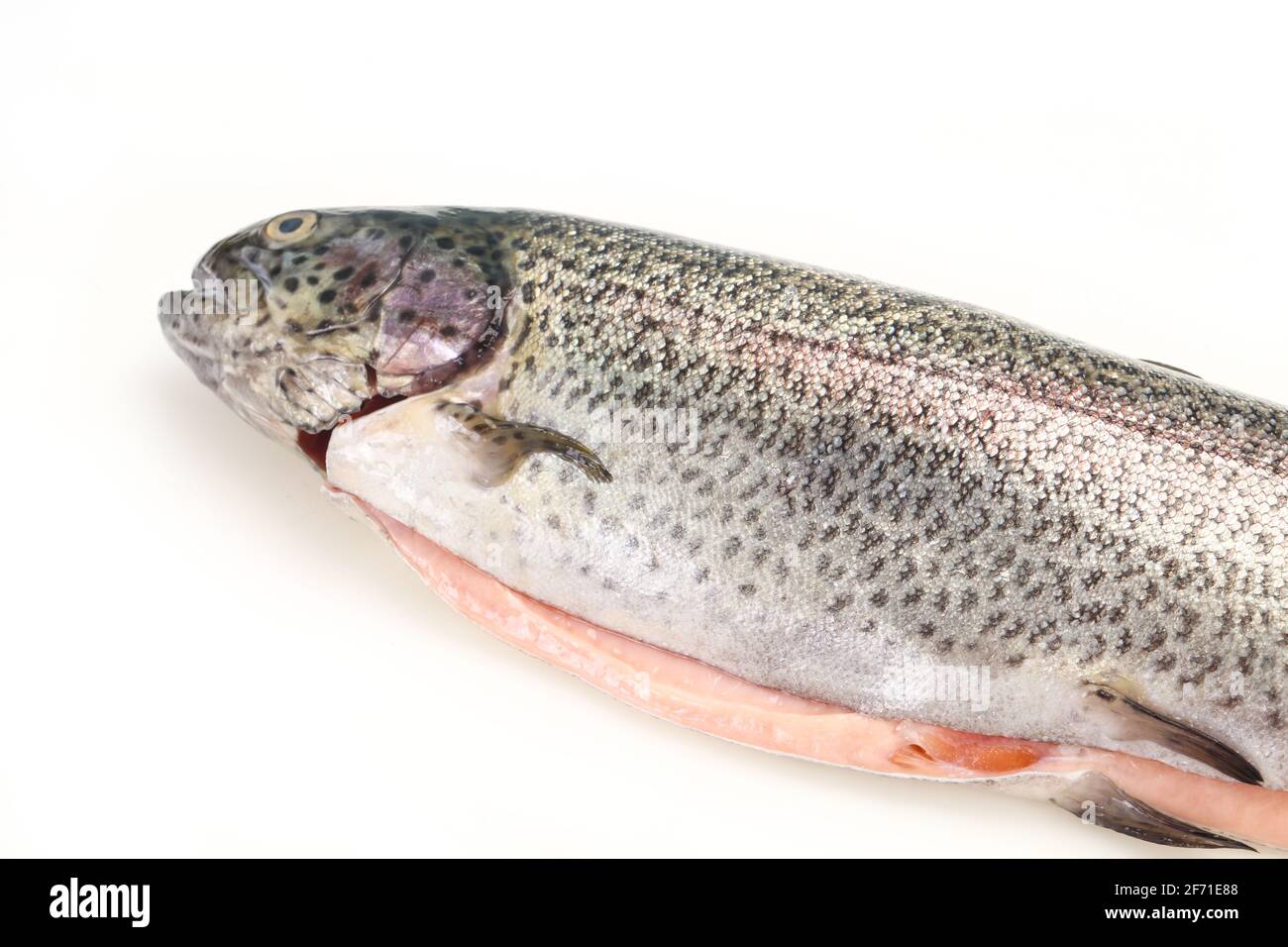Raw trout fish isolated on white background Stock Photo - Alamy