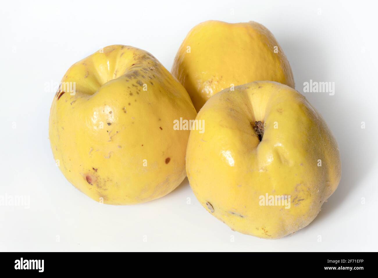 quinces isolated on the white background Stock Photo - Alamy