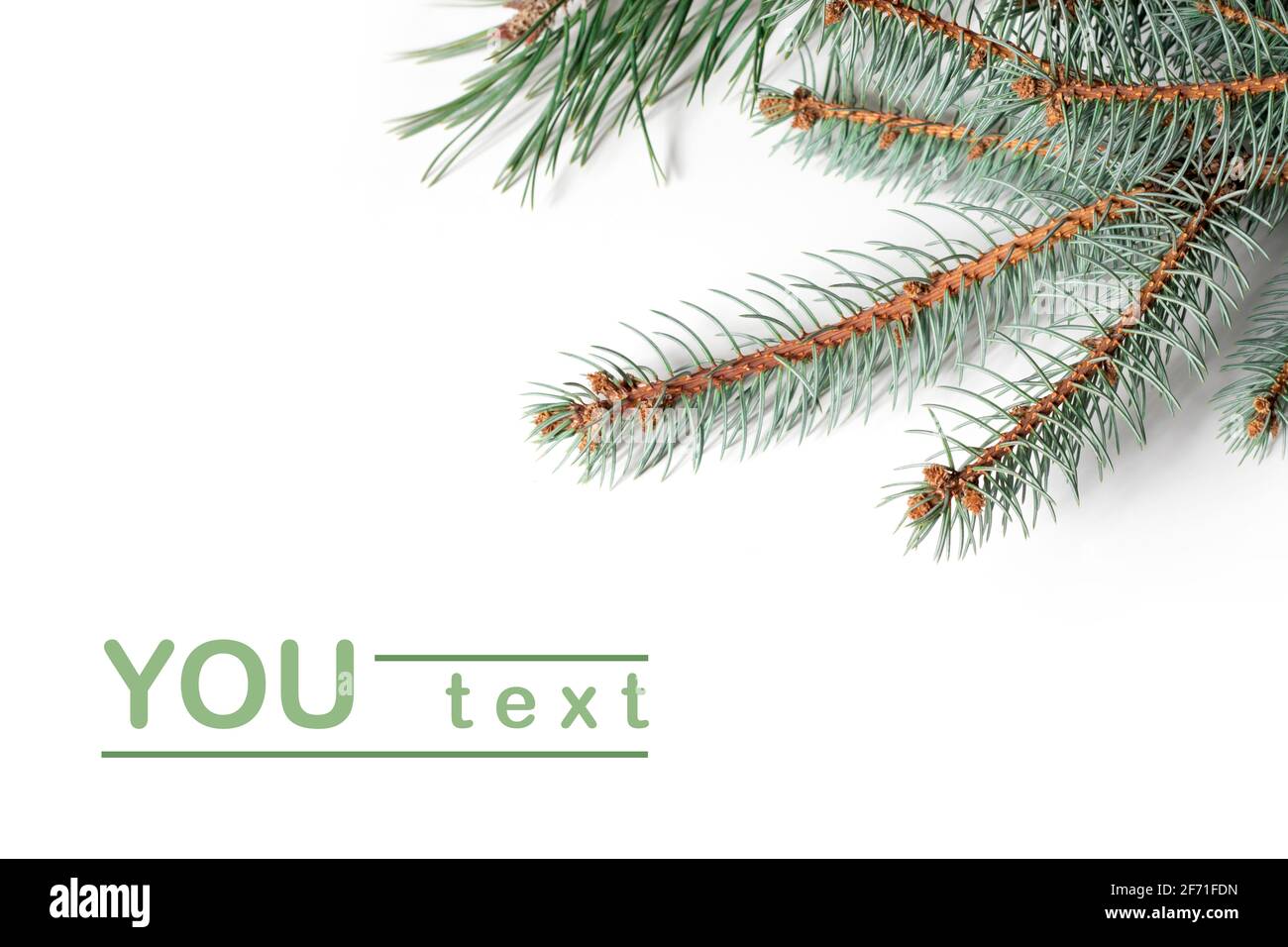 Christmas tree branches border over white Stock Photo - Alamy