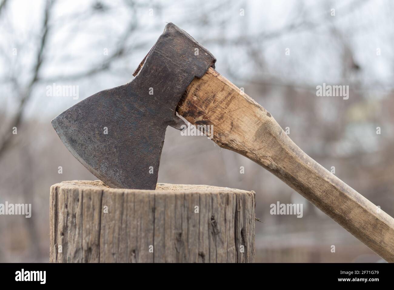 The ax is stabbed with a blade into the stump. Ax with wooden handle ...