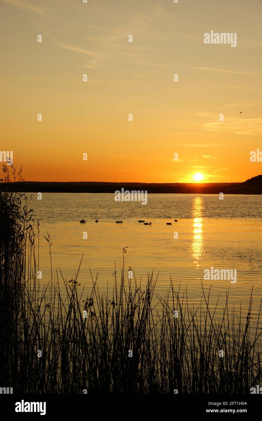 Sunset reflecting off the Baltic sea on the Parnu coast, Estonia Stock ...