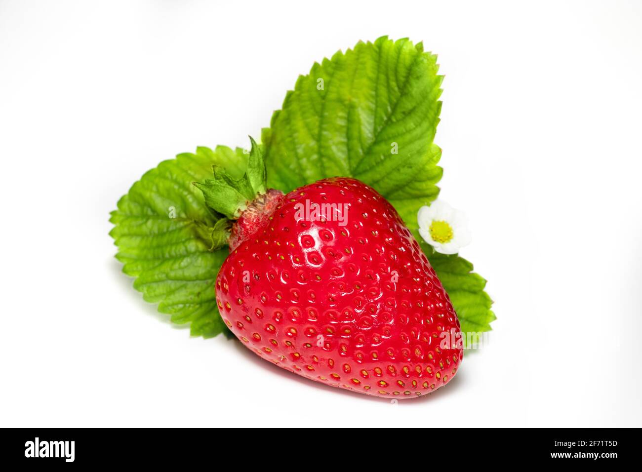 Isolated strawberries. Three fruits, one cut in half on white ...