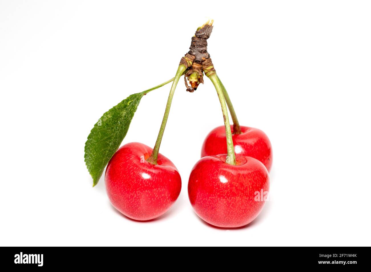 Three perfect sweet cherries with cherry leaf isolated on a white ...