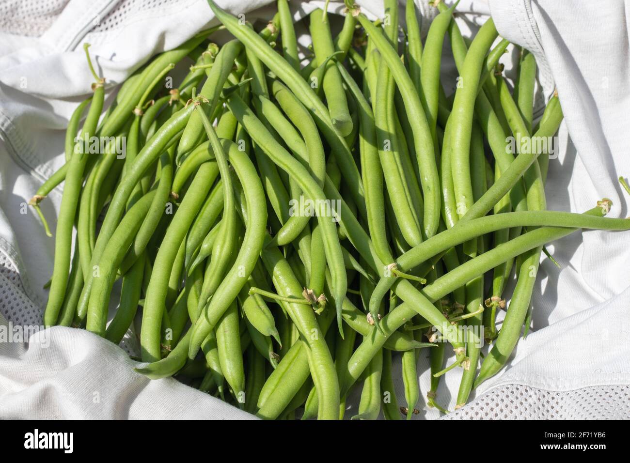 String close up hi-res stock photography and images - Alamy