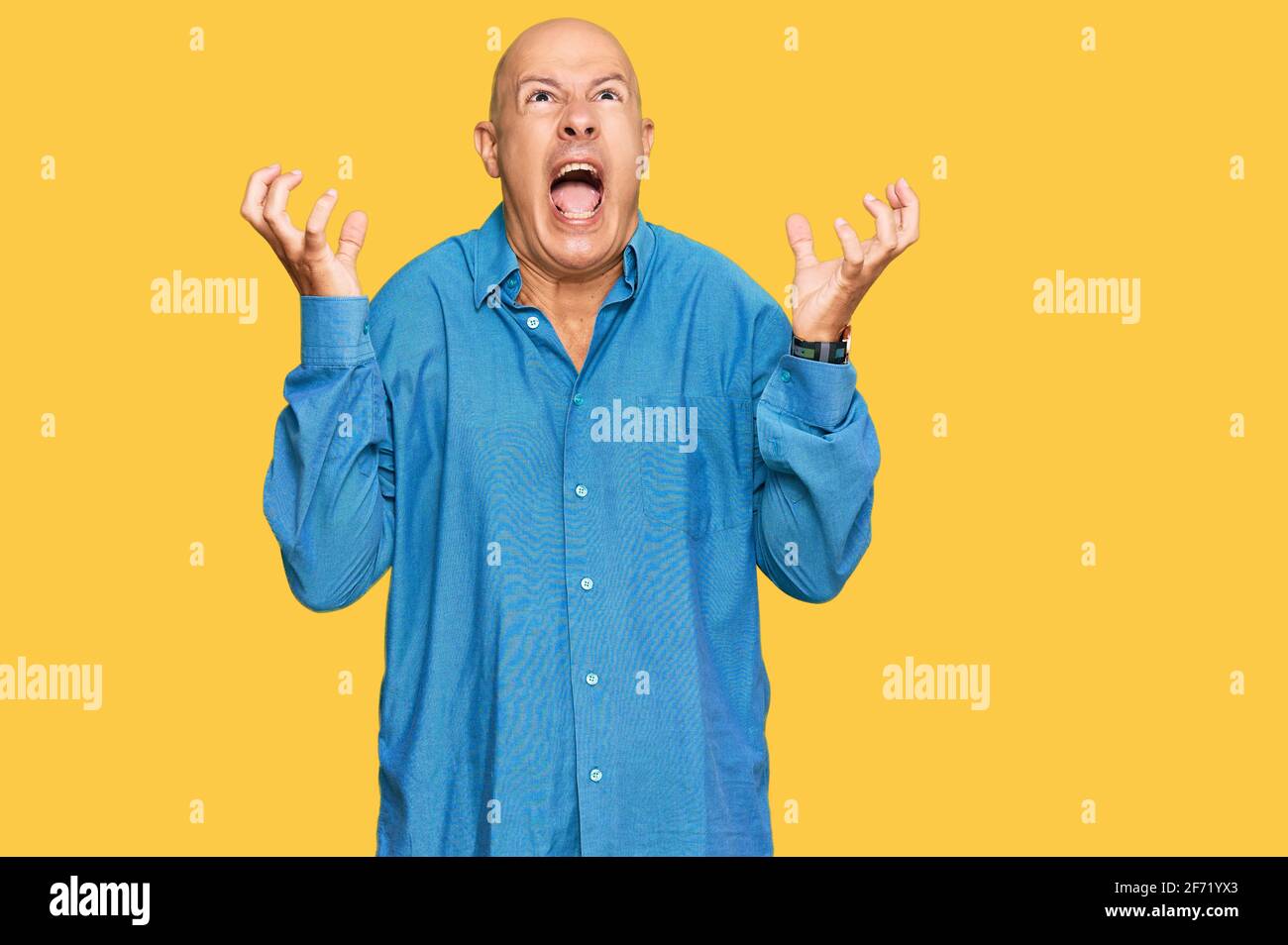 Middle age bald man wearing casual clothes crazy and mad shouting and ...