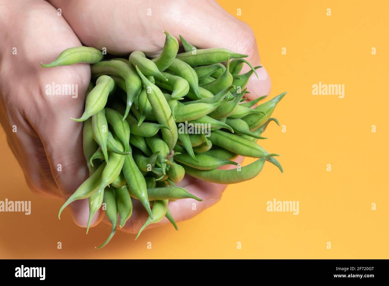 White french beans in hand hi-res stock photography and images - Alamy